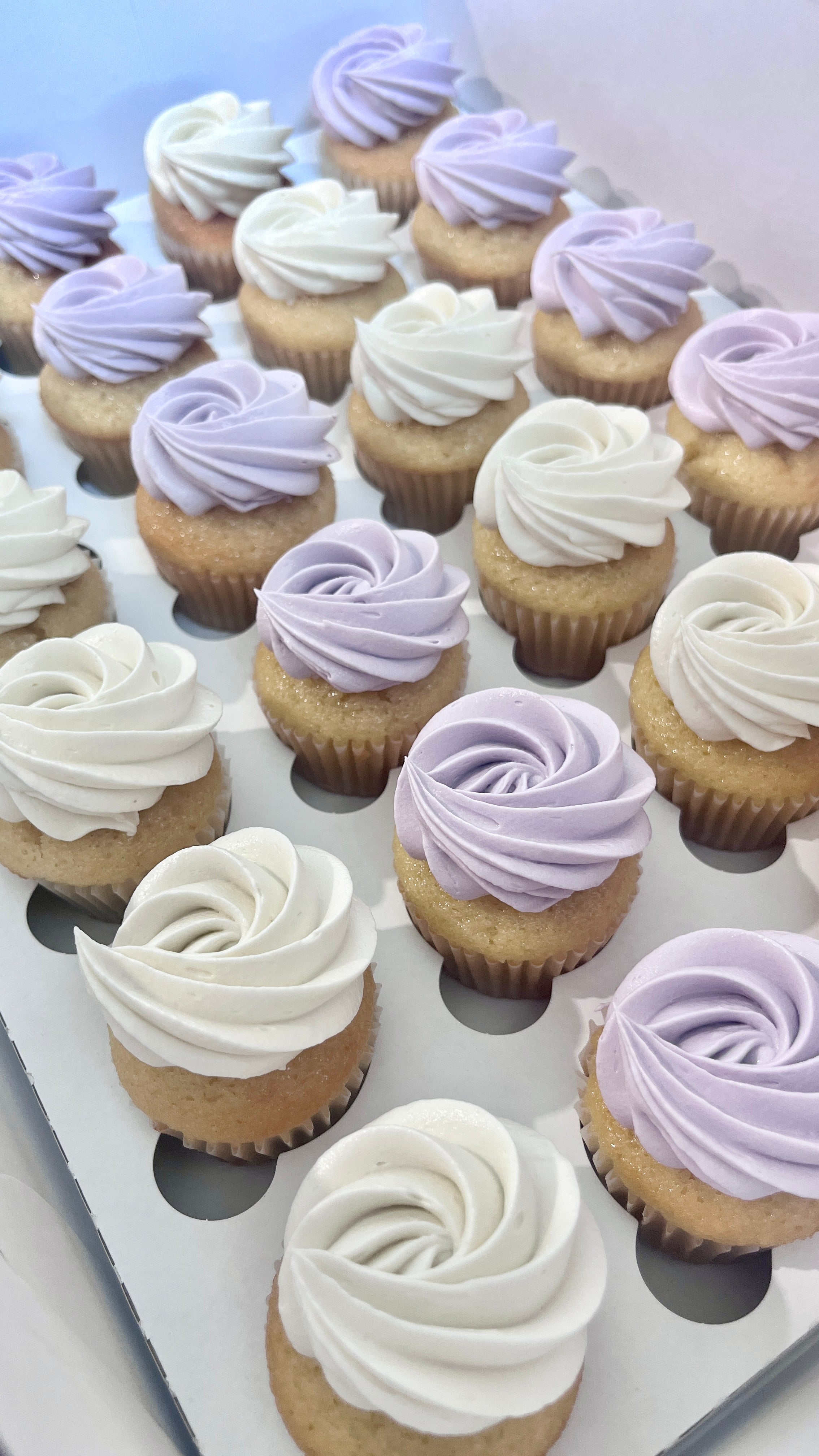 Simple Swirl Cupcakes | Kali Cakes Bake Shop